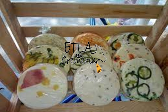 Queso Manchego Botanero :: etlacremerias